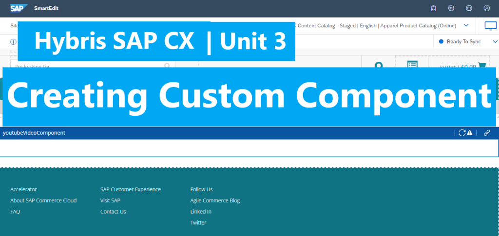 SAP Hybris Tutorial – CMS Create Custom Component | Unit 3 – Pinestran
